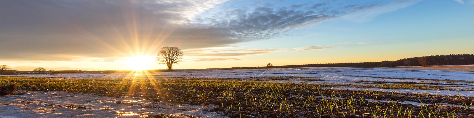 Local Open Space Funding Programs | DVRPC