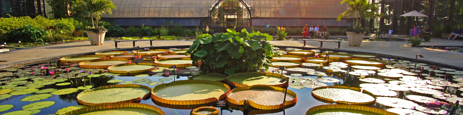 DVRPC News: June 2021 | DVRPC