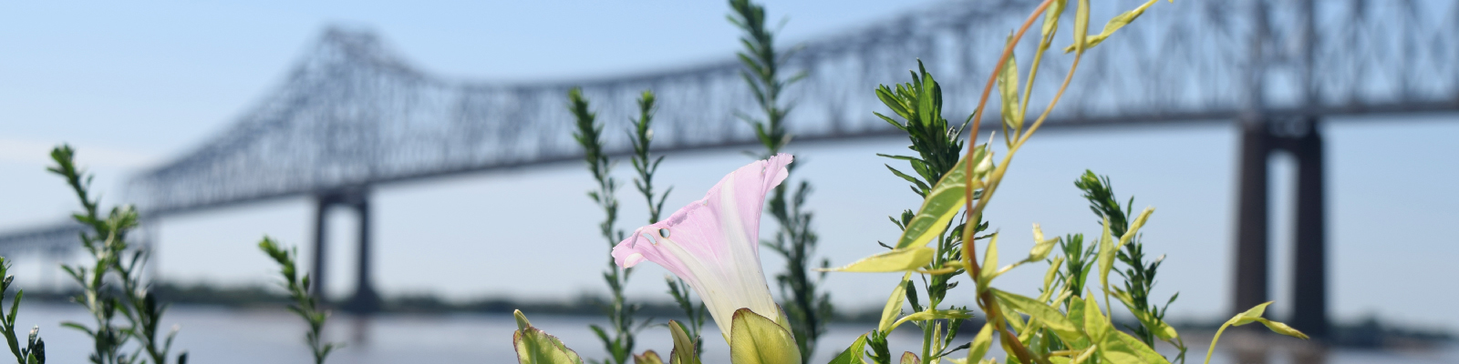 DVRPC News: July 2021 | DVRPC